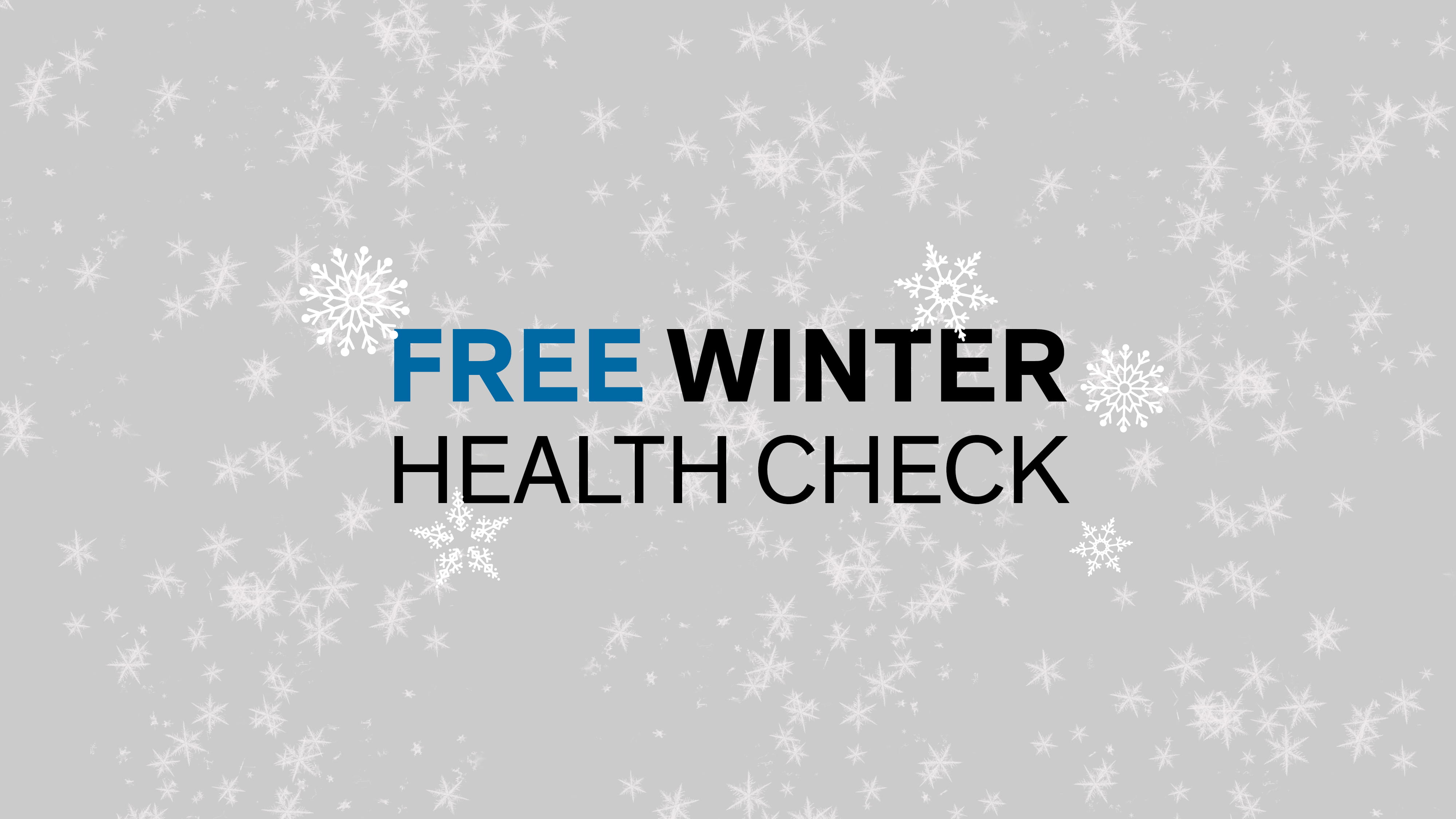 Seat | Free Winter Health Check