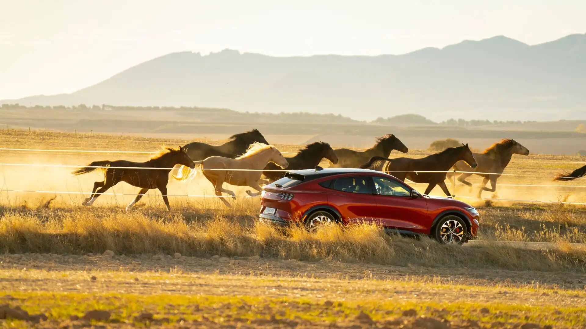 Ford Privilege | Employee Benefits | Lookers Ford