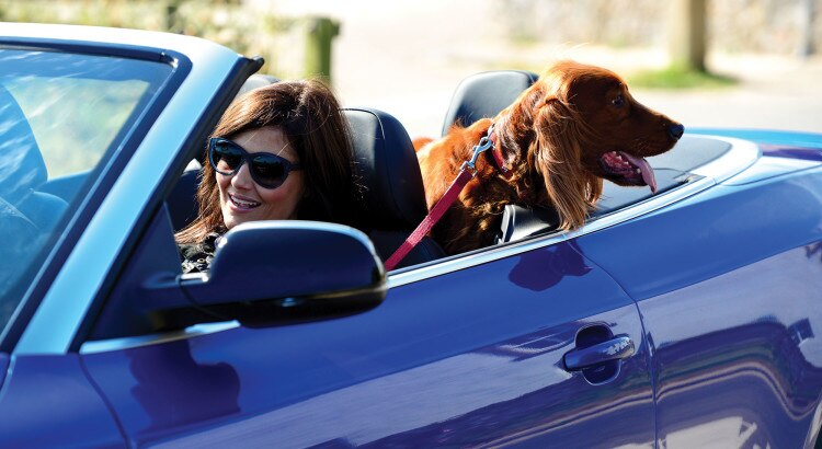 The perfect summer car…part one - Lookers Blog
