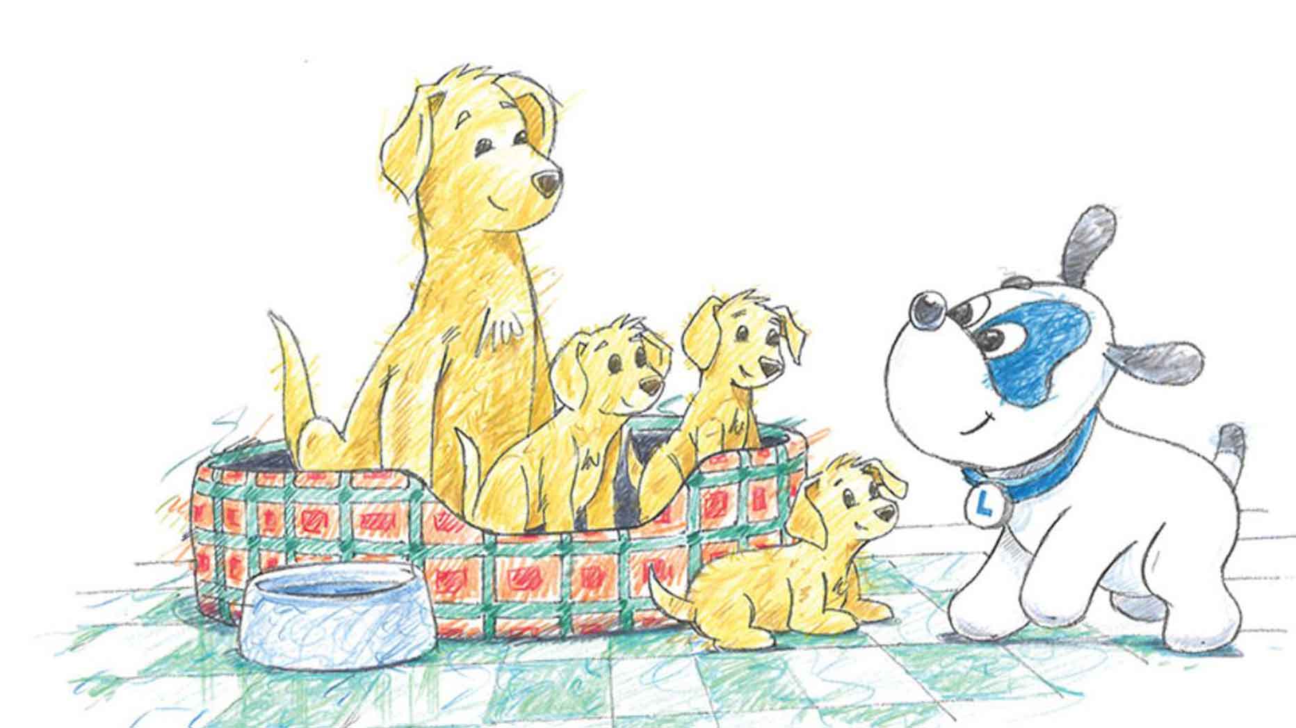 Lucky Meets The Guide Dogs | Lookers